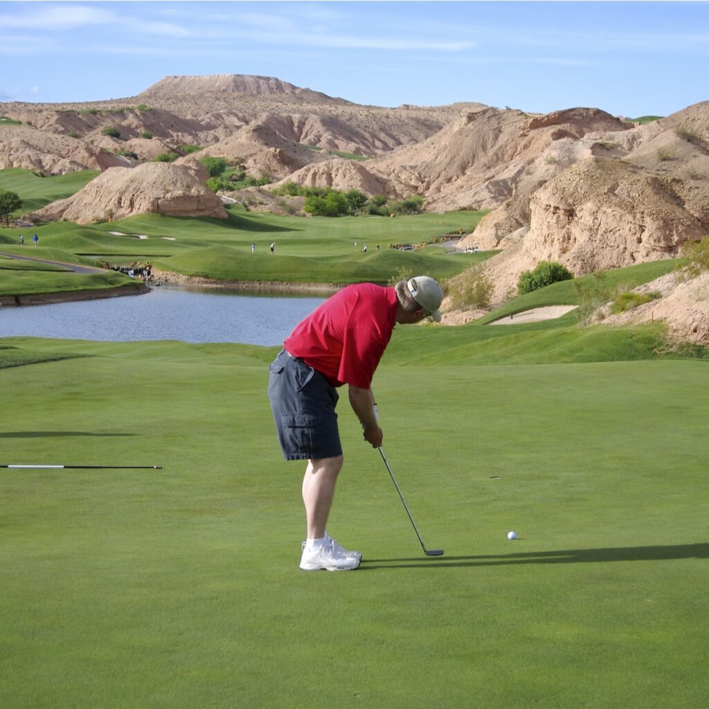 Showtime! - The 2021 Expo At Your Fingertips | Seattle Golf Show